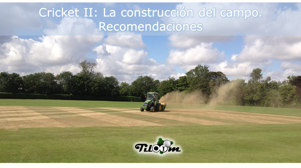 Cricket II: How to build a cricket pitch